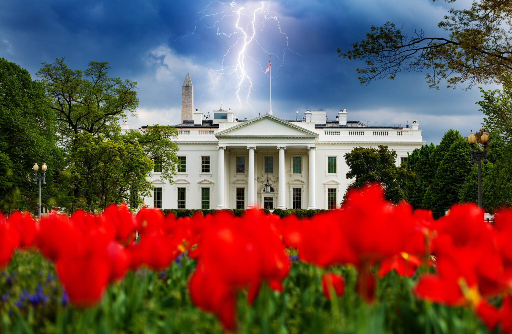How A Fraud Scheme Nearly Gained Access To The White House - American ...