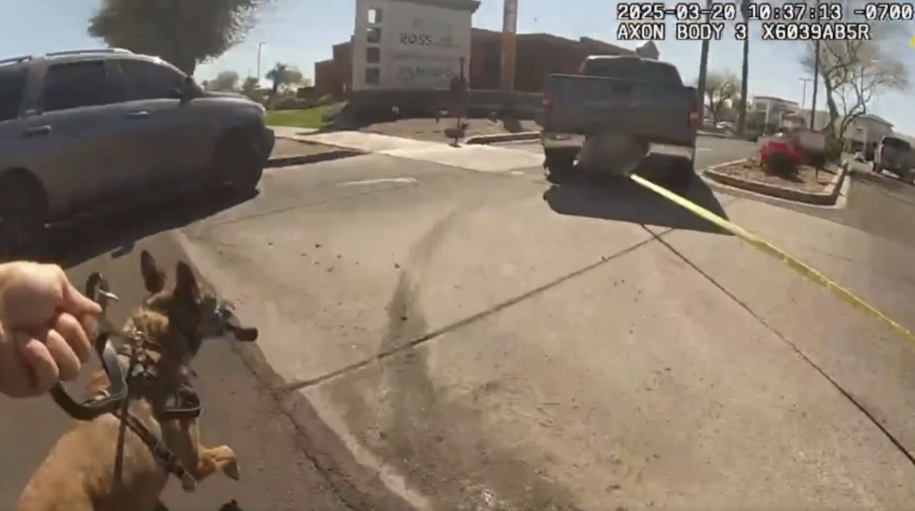Grappler Bumper Stops Police Station Attacker Cold In Arizona ...
