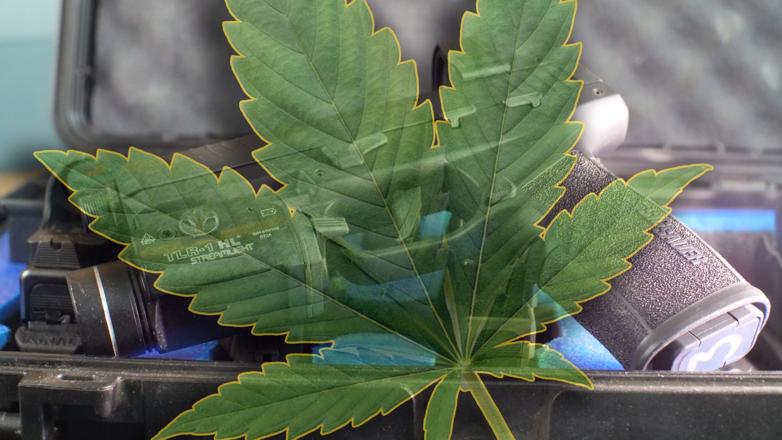 NRA And NORML Team Up Against Federal Gun Ban For Marijuana Users ...